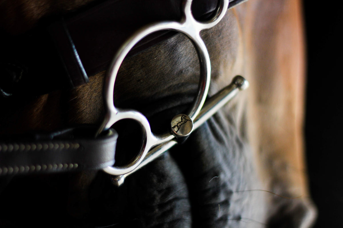 Dressage Legal Bits | BD and FEI Dressage Legal Bits – The Bit Boutique