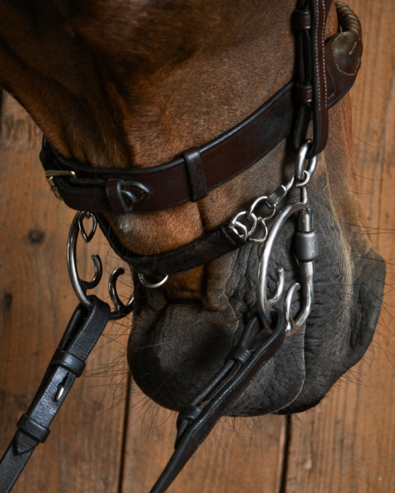 Fager Chain curb Strap in Leather | Fager Range – The Bit Boutique